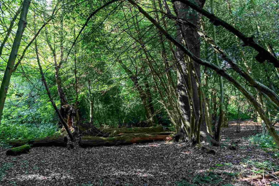 Removals & Storage North Finchley | Need help moving in N12?